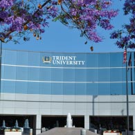 Login - Trident University International